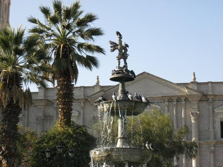 El tuturutu de Arequipa