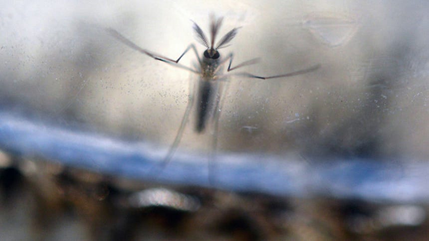 Zika Perú Minsa