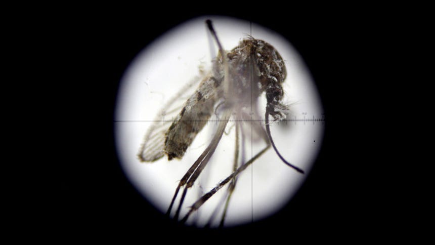 Zika Perú EEUU