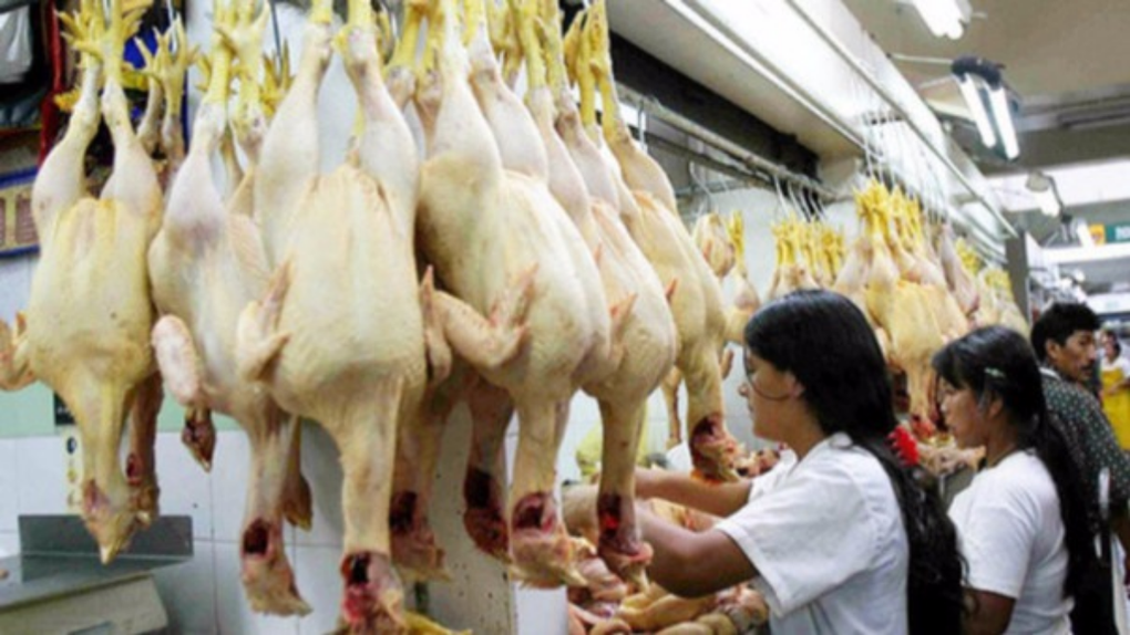 Vera: Las avícolas no especulan ni concertan el precio del pollo