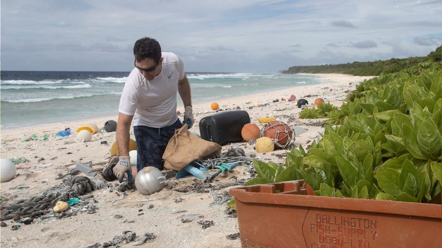 Isla Henderson, patrimonio mundial por su "ecología casi intacta", hoy ...