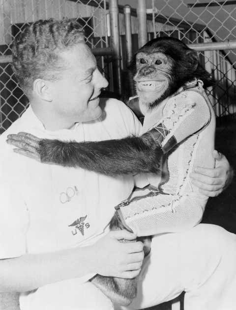 Enos, el chimpancé que vivió una pesadilla orbitando la Tierra hace 61 años