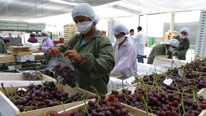 BCR: Exportaciones peruanas ascendieron a US$ 65 835 millones en 2022