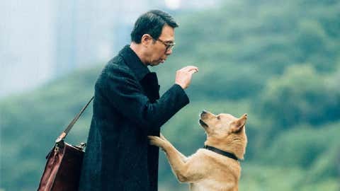 El planeta de los simios nuevo reino supera a Hachiko 2 en la taquilla ...