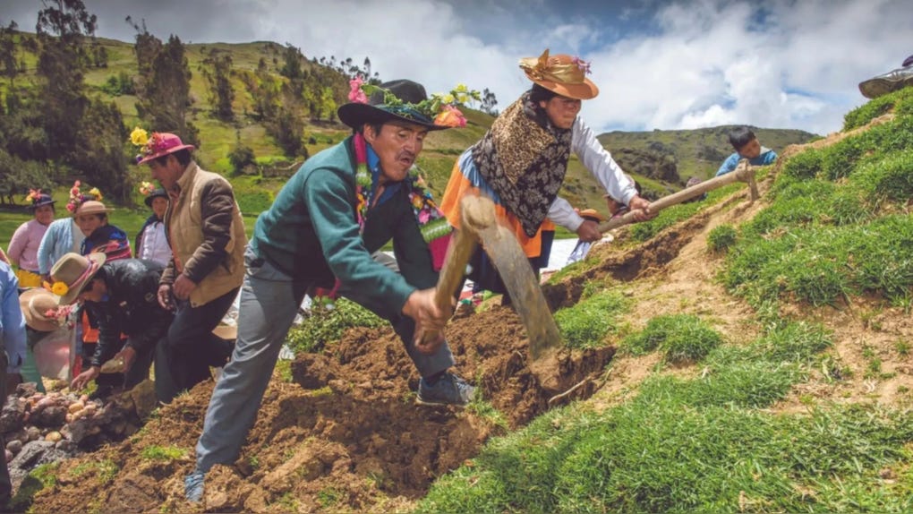 Sector agropecuario lidera crecimiento en abril 2024 con avance mayor ...