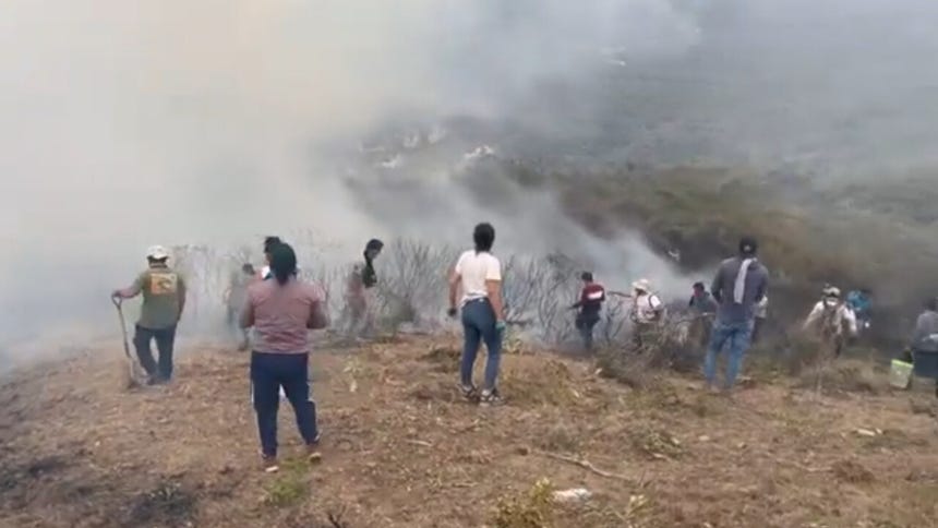Incendios en Amazonas dejan 5 000 hectáreas de bosques y pastizales ...