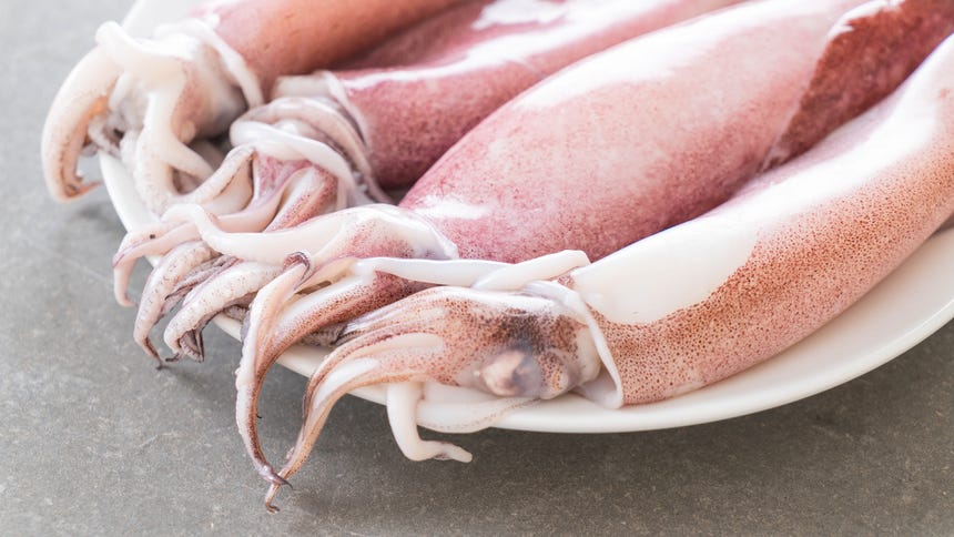 ¿Subirá el precio de la pota? Reinicia la pesca con cuota ampliada ...